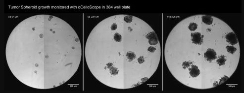 oCelloScope - Automated Microbial Live-Cell Imaging and Analysis - Neutec