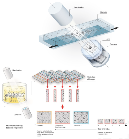 oCelloScope - Automated Microbial Live-Cell Imaging and Analysis - Neutec