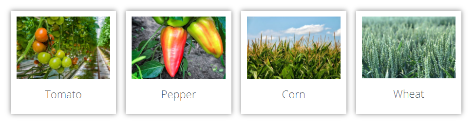 Ampha P20 - Pollen Analyzer - Neutec