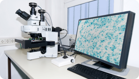 Webinars (Flow cytometry) – Neutec