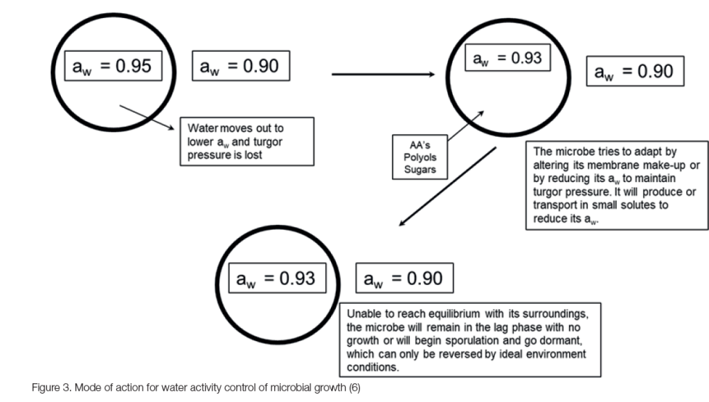 Pharmaceutical Trends: Water Activity Measurement USP 922 - Neutec