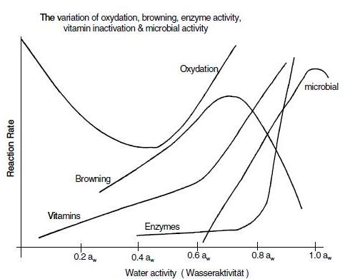 What is Water Activity? - Neutec